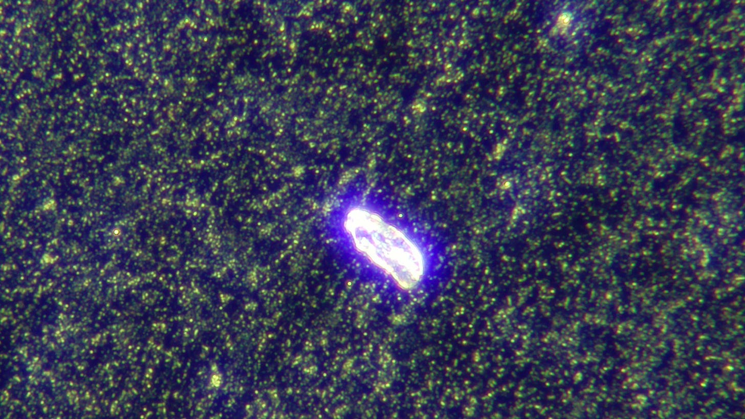 Coke, Pepsi, Evian, Fiji Water, Coconut Water & a Steak under the ...