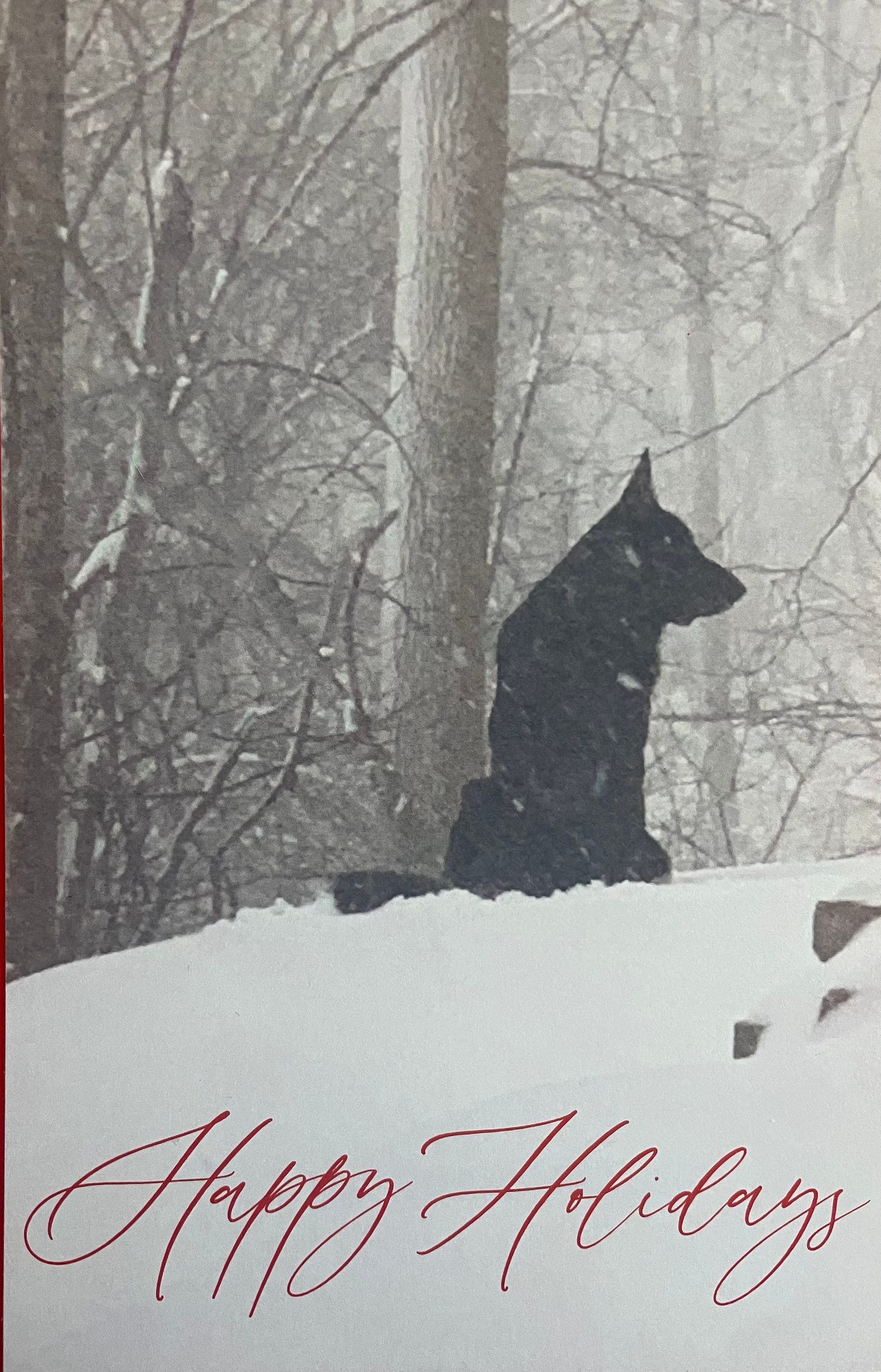 Wishing you joy - by J. F. Riordan