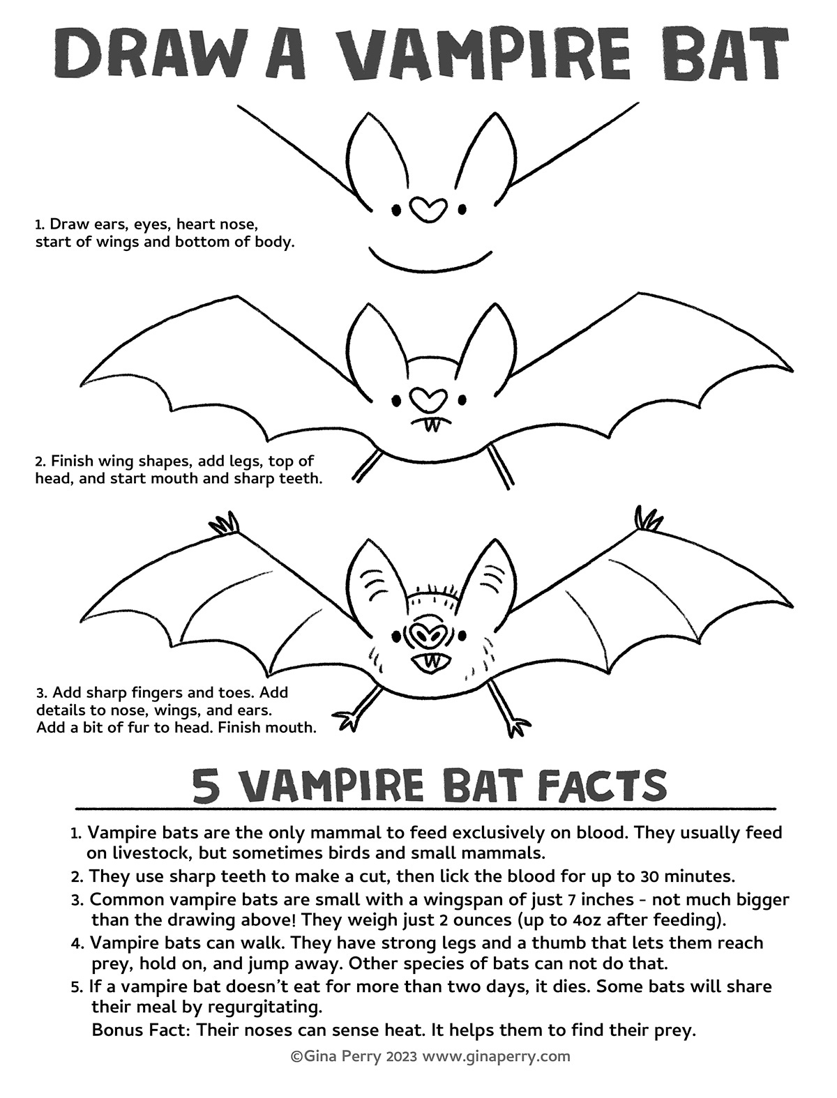 How To Draw A Real Vampire Bat