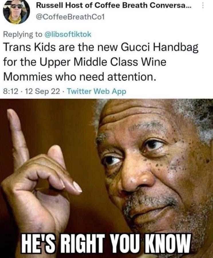 Ann Barnhardt Meme Barrage - Edwin’s Newsletter #1