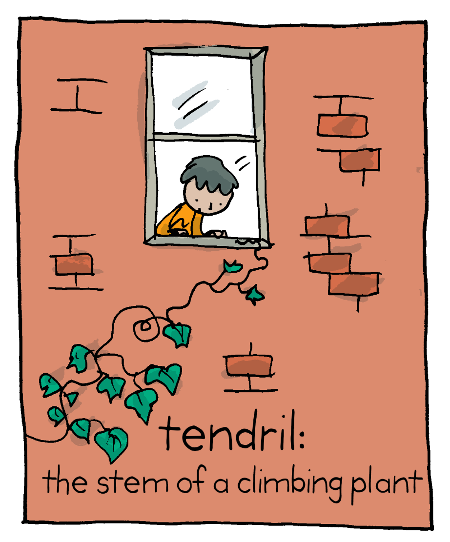 Perfect Words - by Grant Snider - Incidental Comics