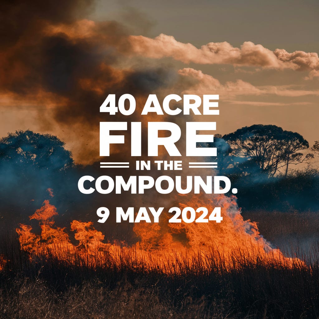 From Panic to Relief: Palm Bay Community Breathes Easier as "Compound" Fire Contained 🌬️🔥