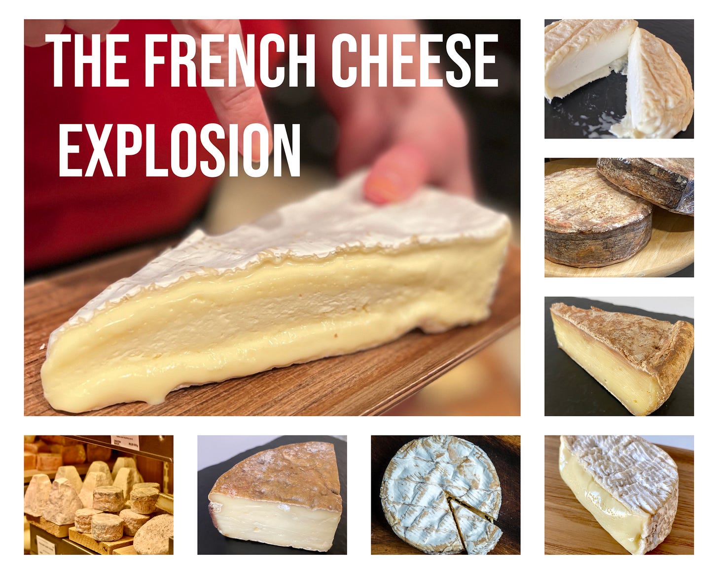 Oobatz - by Meg Zimbeck - PARIS BY MOUTH