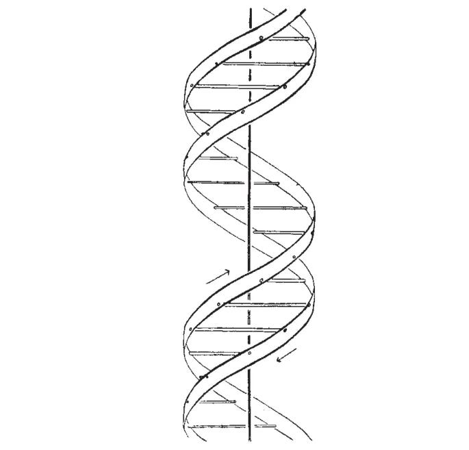 Central Dogma in 7 Experiments - by Niko McCarty