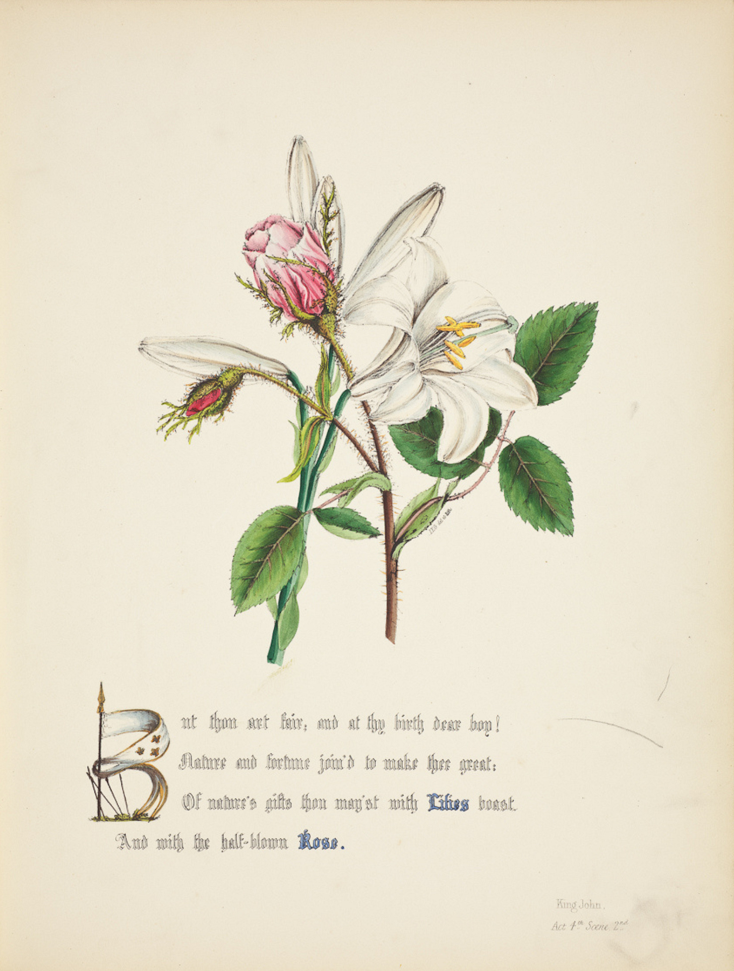 The Shakespeare Garden: Jane Elizabeth Giraud's Posies and Elizabethan ...