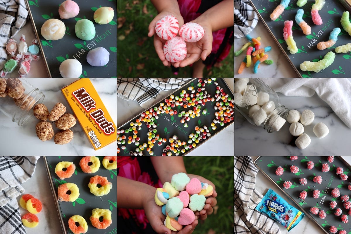 Freeze Dried Candy (& More Freeze Drying Fun)