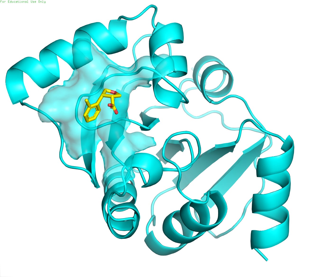 RoseTTAFold All-Atom (RFAA): Design a Biomolecule in just three steps ...