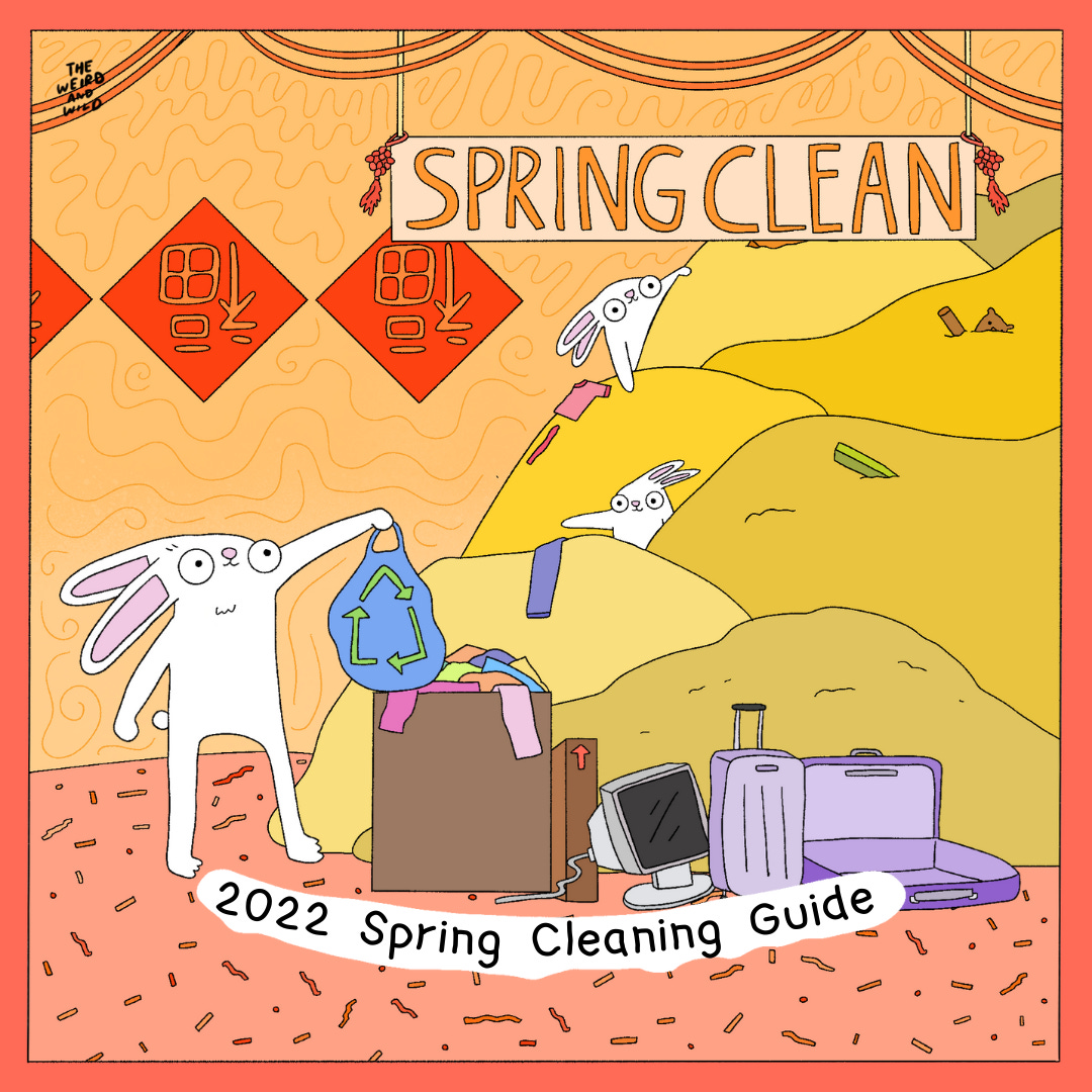 🐰 2023 Intentional Spring Cleaning Guide 🍊
