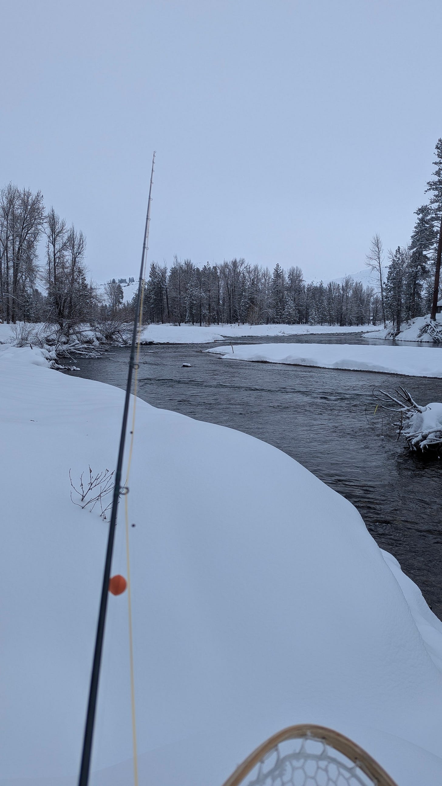 On Mountain Whitefish | Washington Fly Fishing Forum