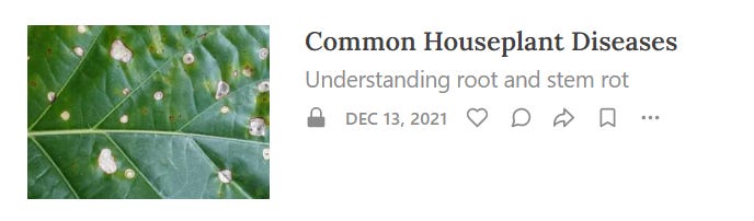 How do paid subscriptions on Substack work?