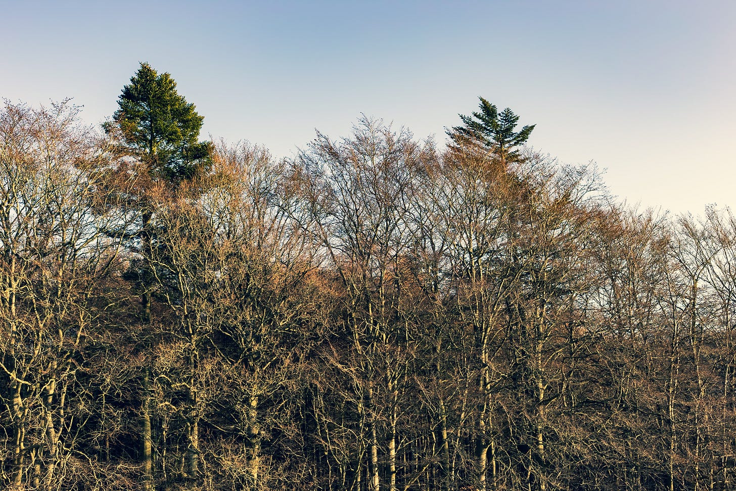 How a Photo Walk With Jon Hopkins' Singularity Became My Awakening