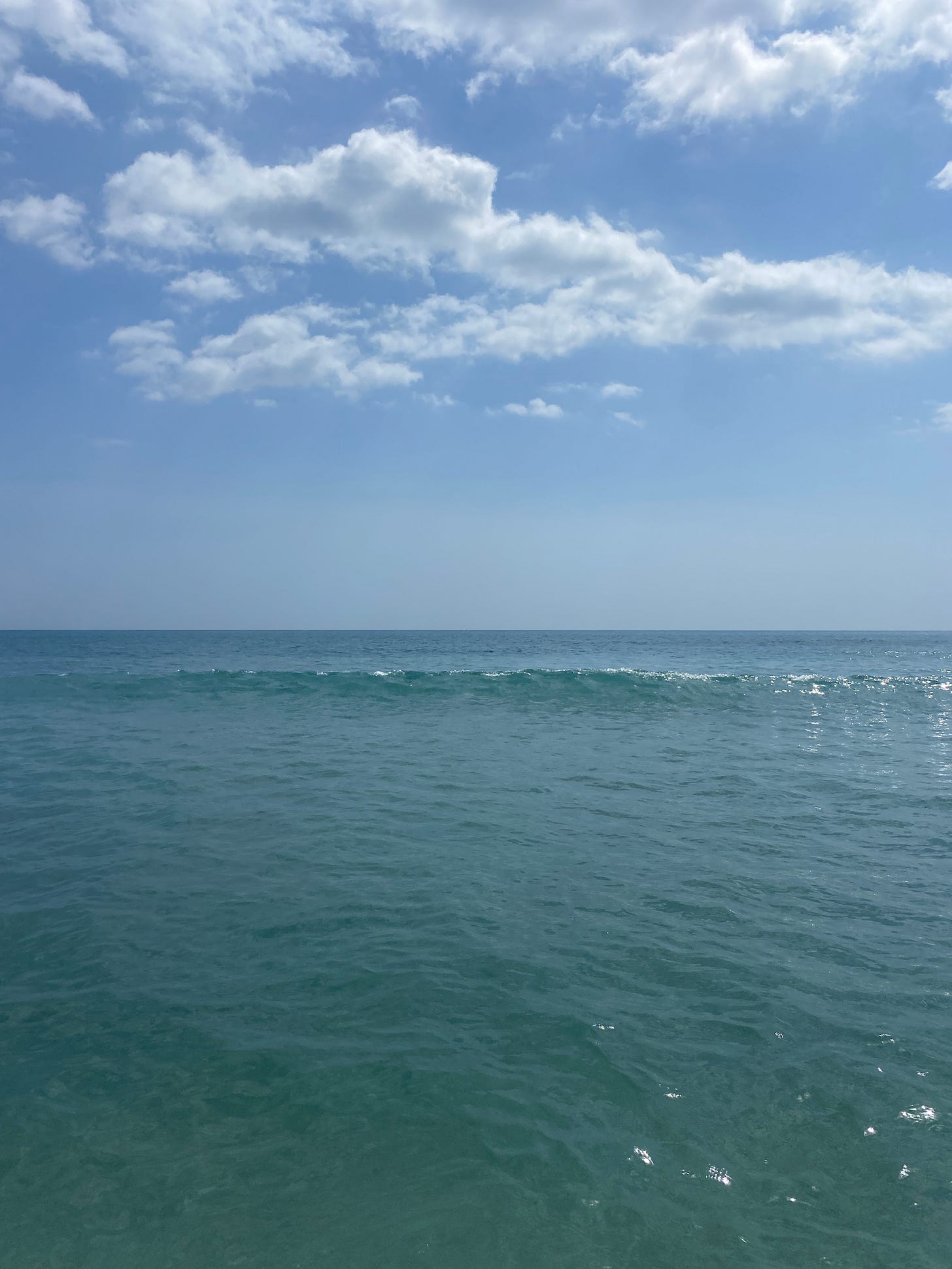 Practicing | Lynn Steger Strong | Substack