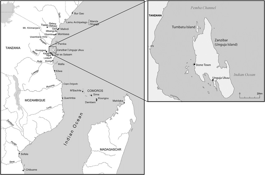 A history of Zanzibar before the Omanis (600-1873)
