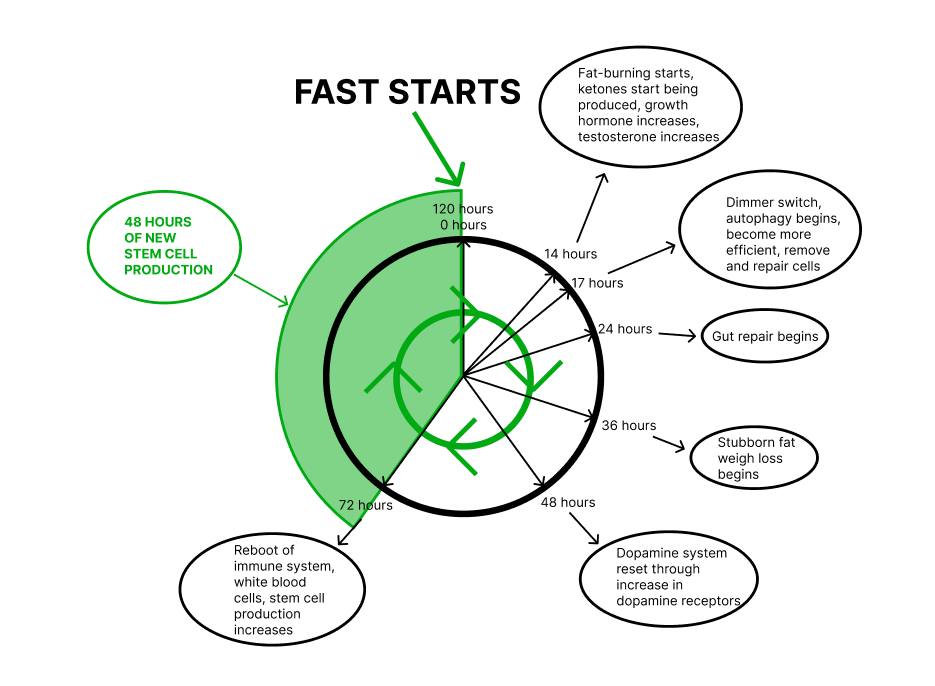 Why is it worth doing a 5 day fast?