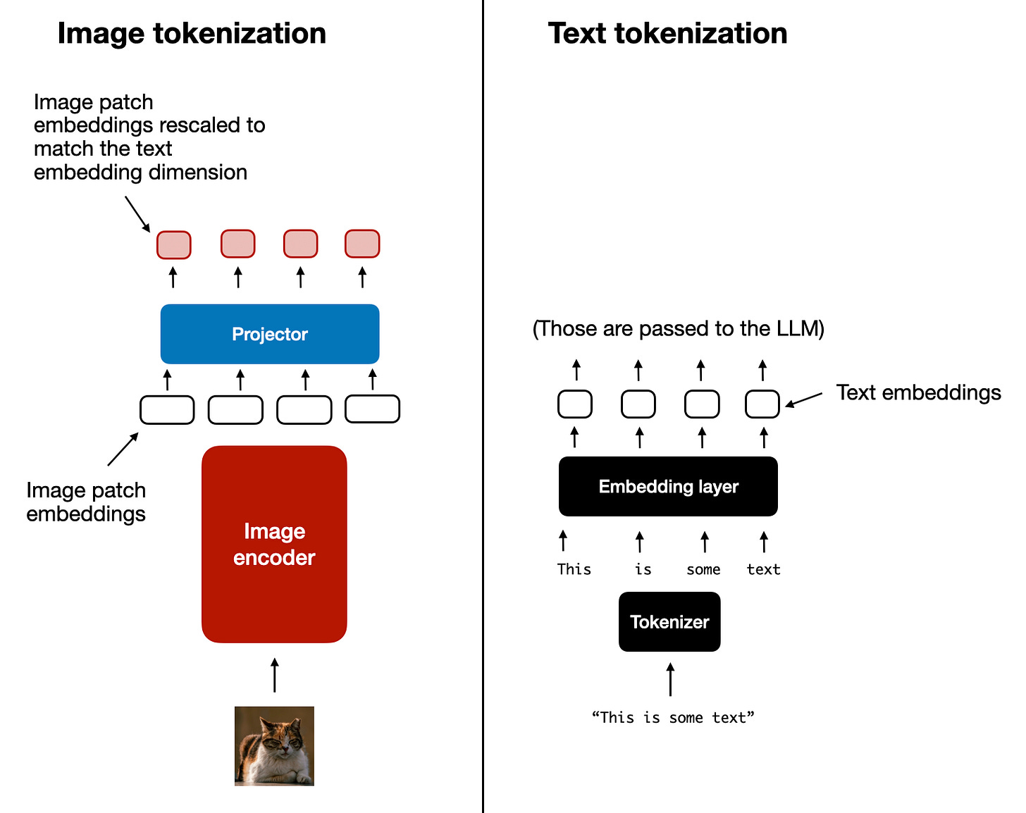 Understanding Multimodal LLMs - by Sebastian Raschka, PhD