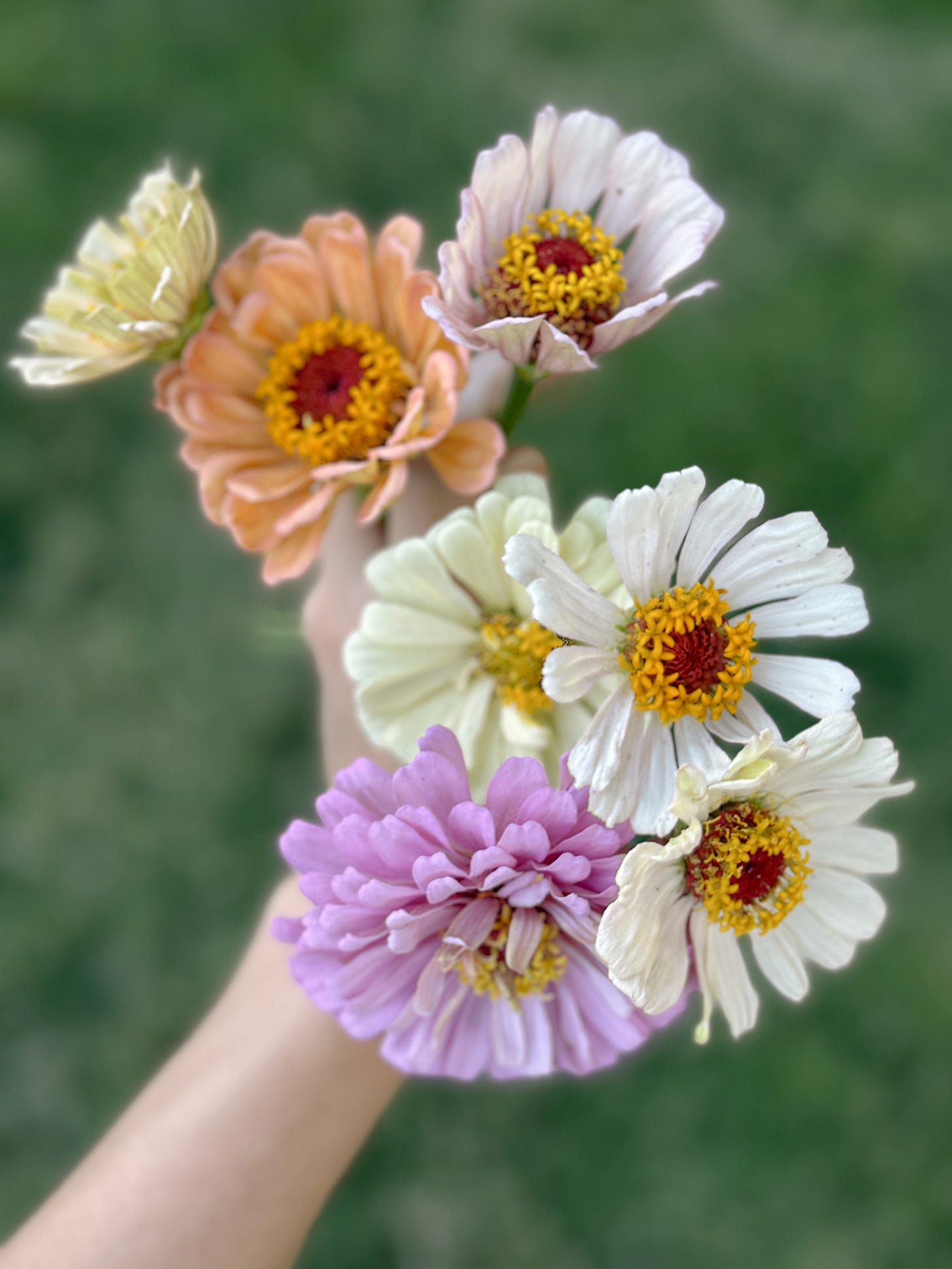 Summer MVPs - by Ashlee Gadd - The Second Act