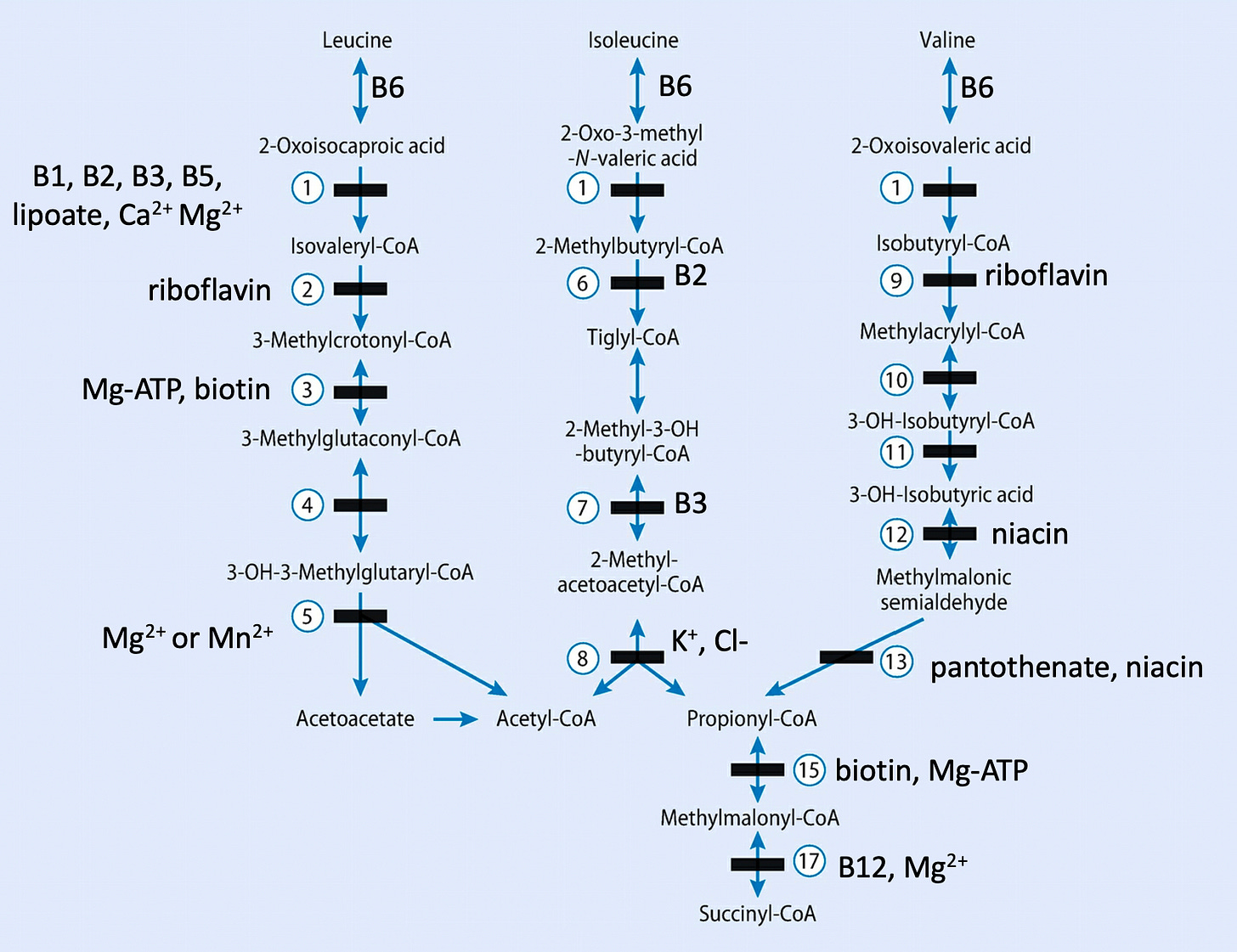 This Is What Causes B6 "Toxicity"