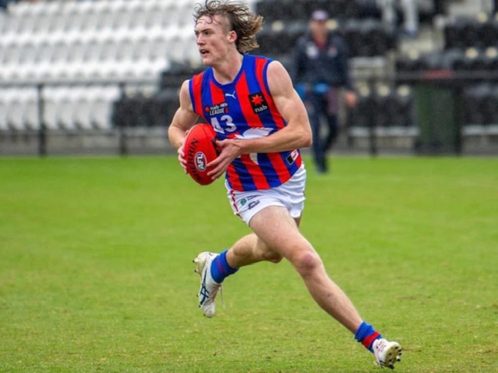 The rise and rise of Josh Weddle - by Daniel Prins