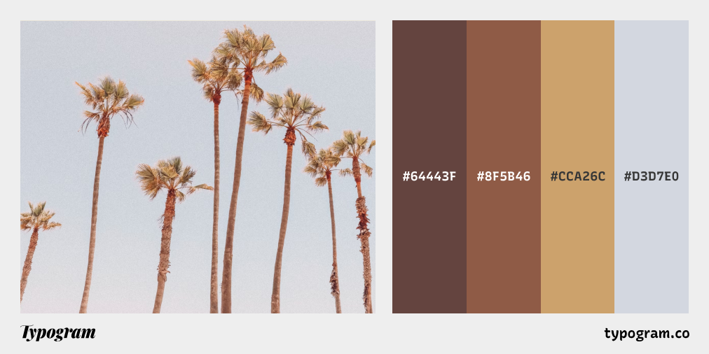 How to Use Italiana: A Elegant Font Perfect for Branding - FontDiscovery