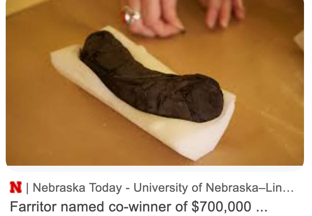 Does the DOGE "Team" Even Really Exist as We are Told??