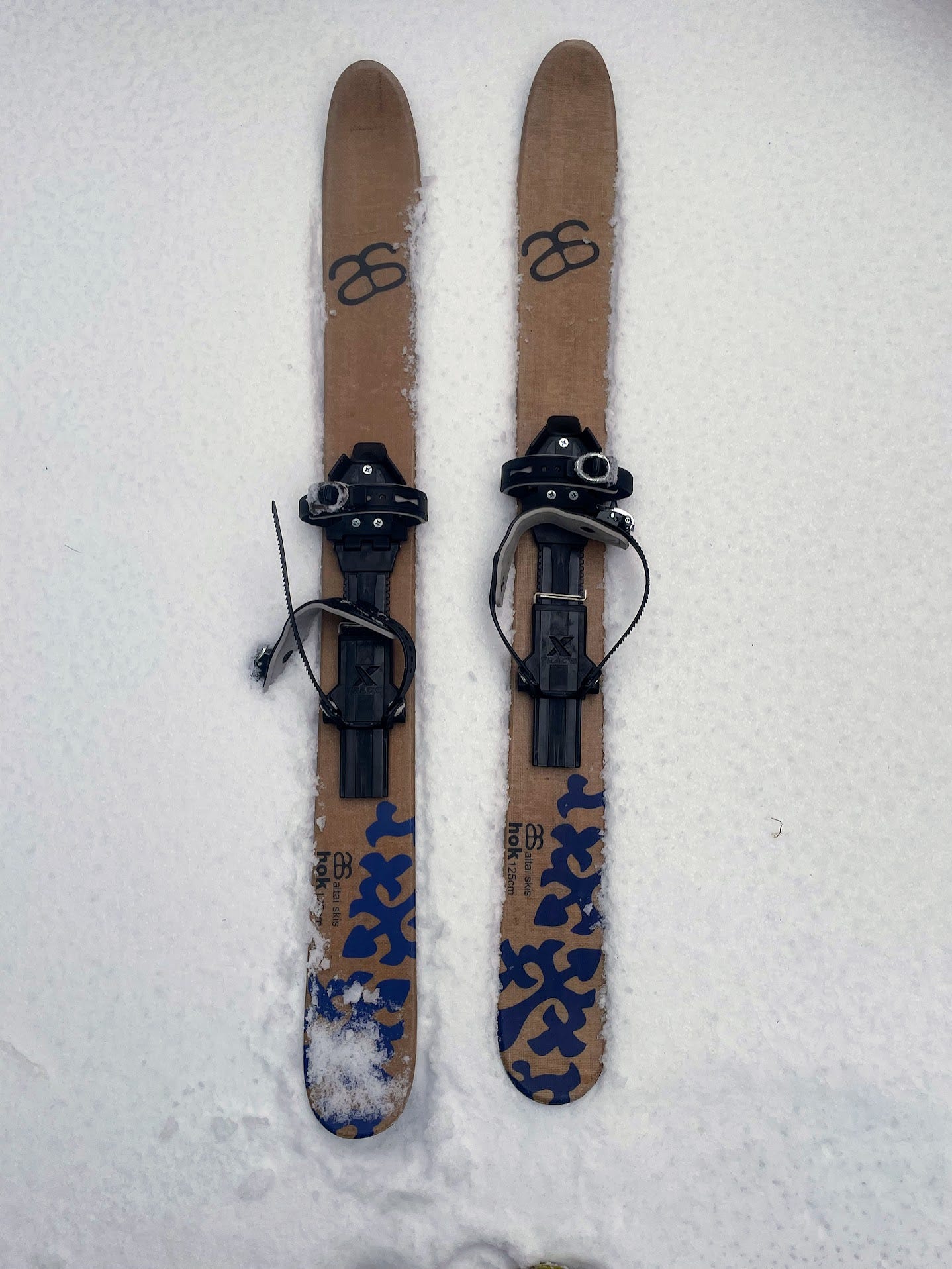 Bridging the Gap: A Comprehensive Review of the Altai Hok Ski with ...