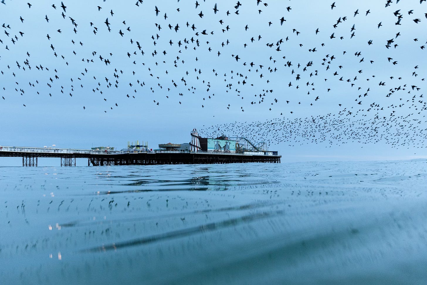 In the bird bath - by Finn Hopson - Now | Here | This