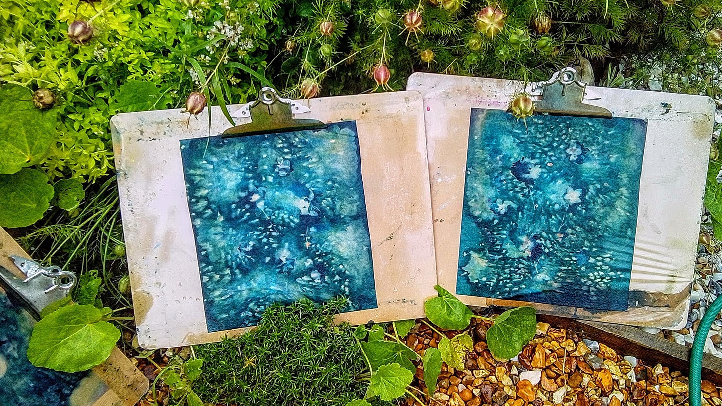 Part Science, Part Alchemy … The Art of the Cyanotype