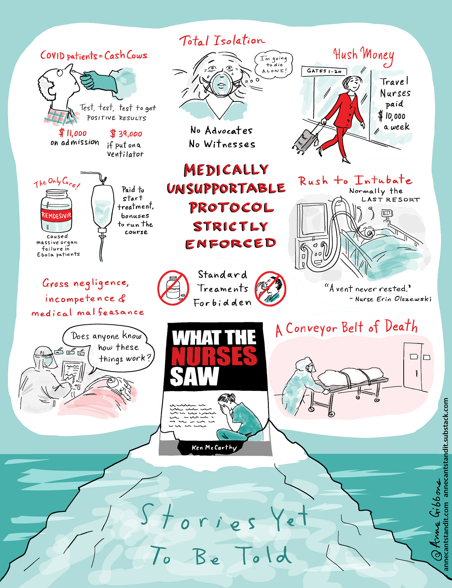 WHAT THE NURSES SAW - by Anne Gibbons