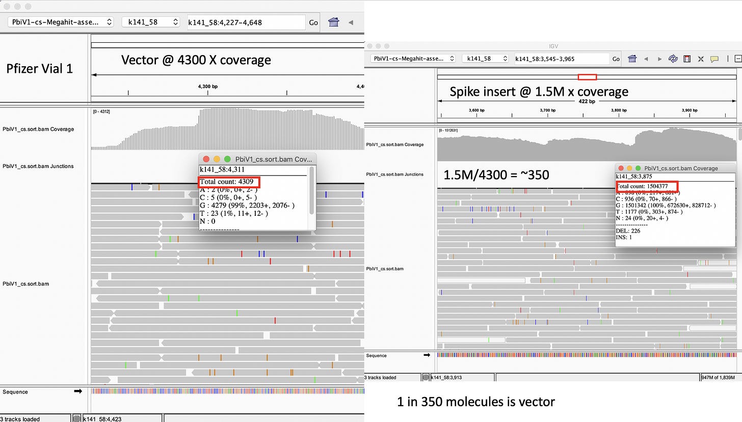 Deep sequencing of the Moderna and Pfizer bivalent vaccines identifies ...