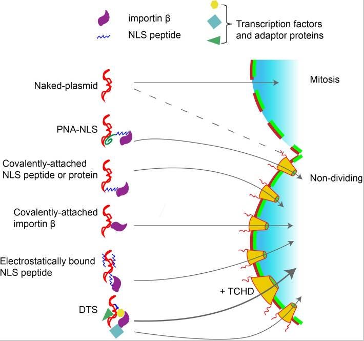 5 ways to skin a (genetically modified) cat