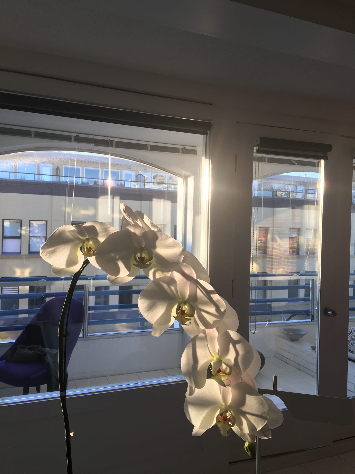 The Late Watch - by Russell C. Smith - The New Now