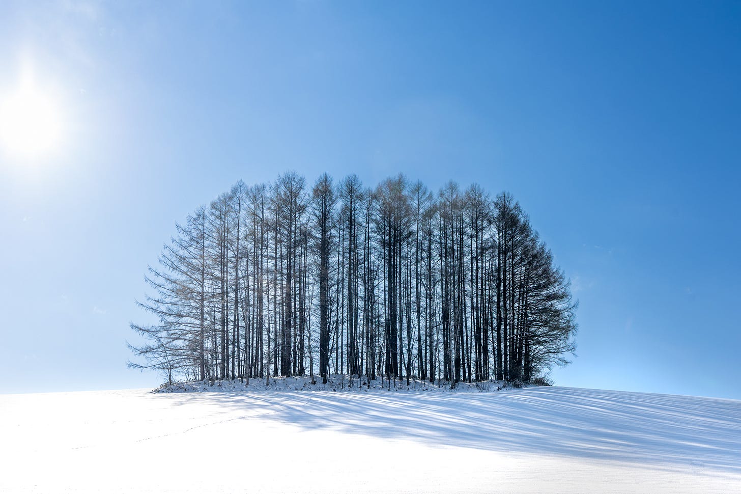 Winter Trip to Hokkaido - by Burcu Basar