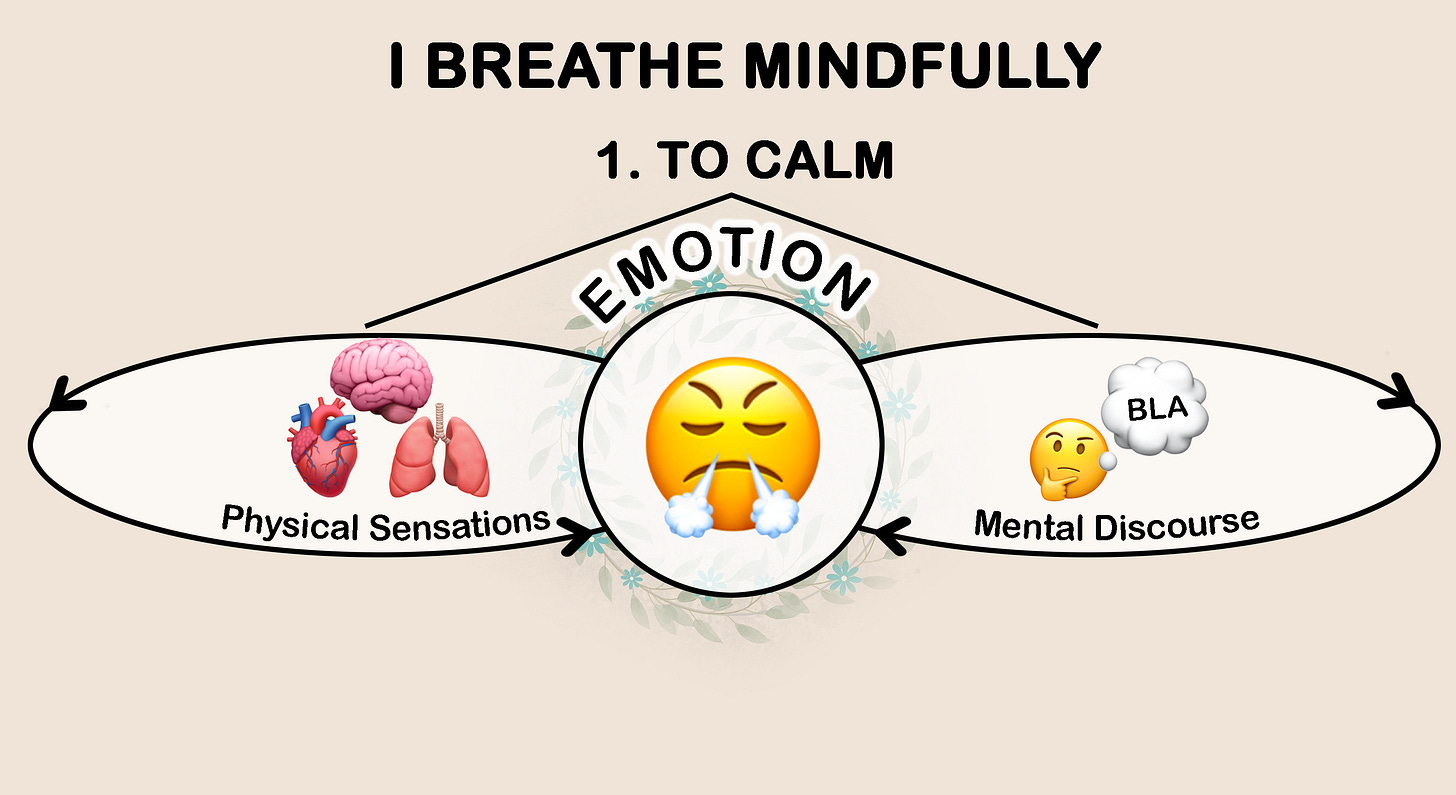 Mindfulness (6/6): Mindfulness of Emotions 2 and Conclusion - Wake Up ...