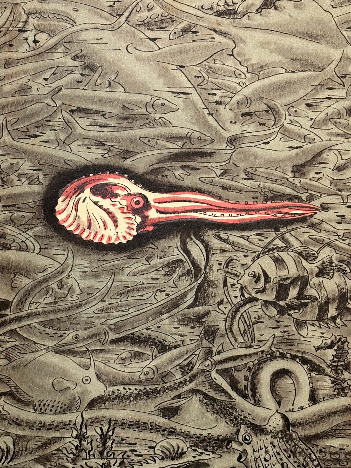 Currents - Minor Fossil