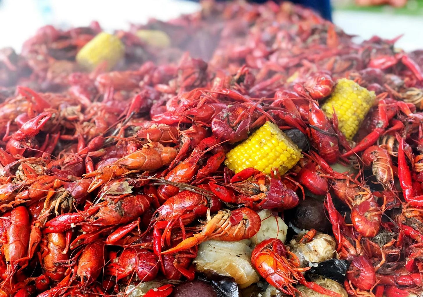 A Look Ahead: Louisiana Events and Festivals to Anticipate in 2025
