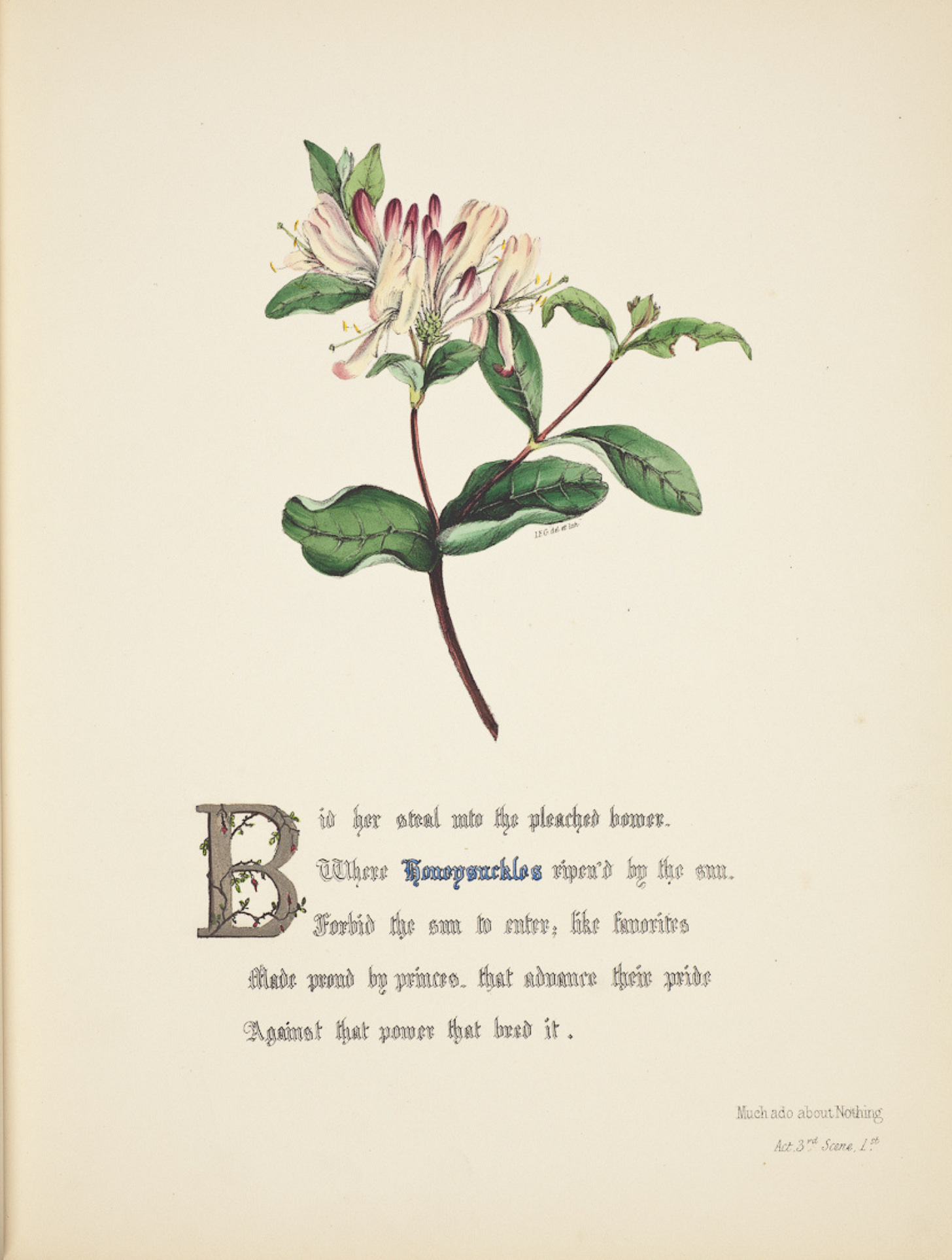 The Shakespeare Garden: Jane Elizabeth Giraud's Posies and Elizabethan ...