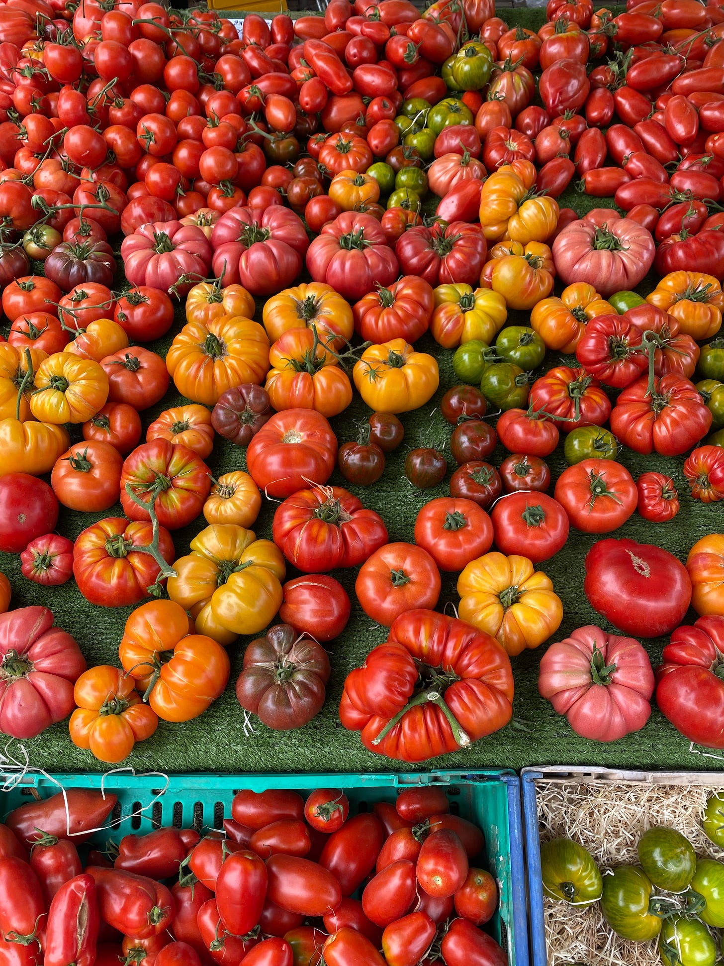 August - by Florence Blair - bits & bobs