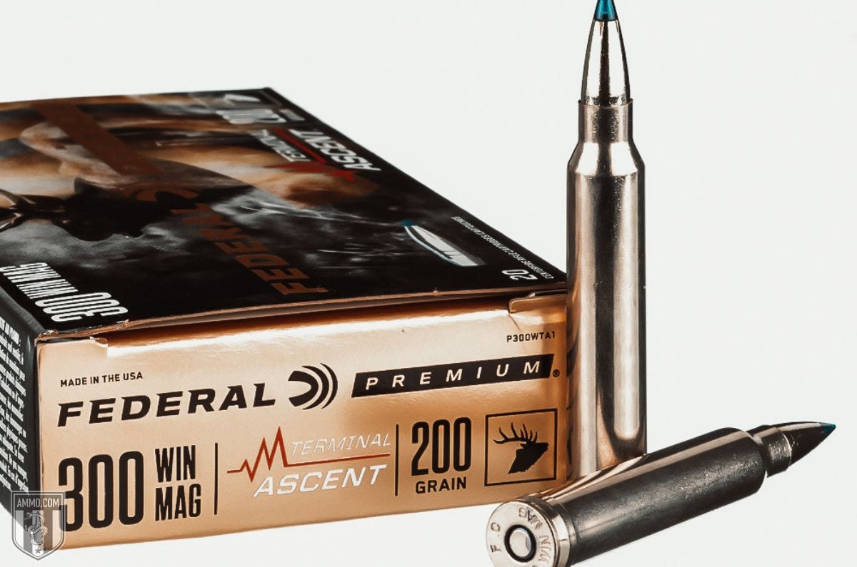 Shop 300 Win Mag Ammo
