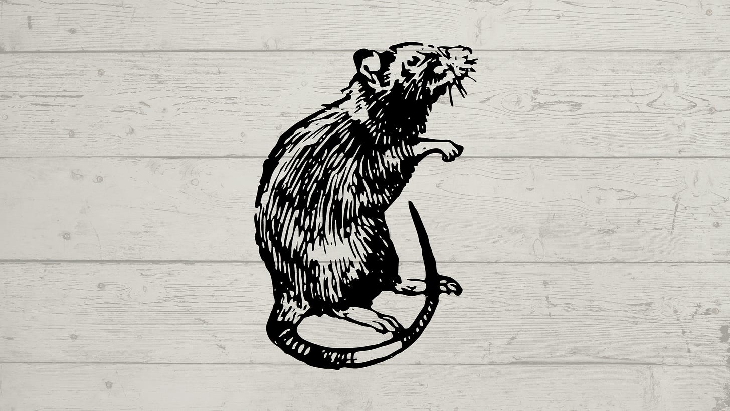 A hot night in a Manchester rat pit - by Dean Kirby