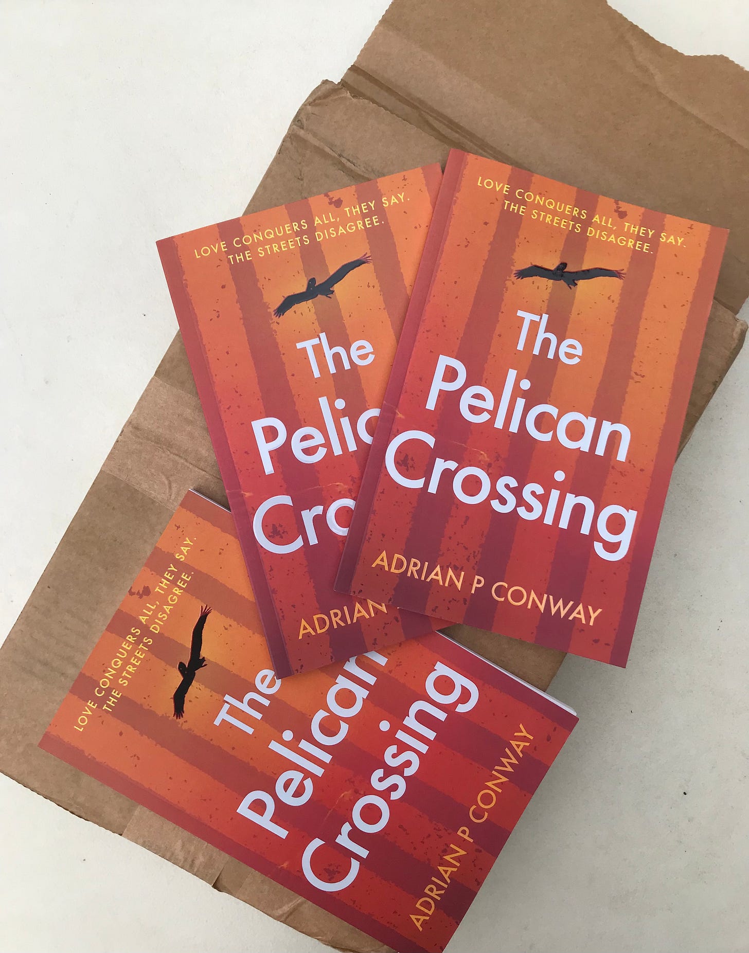 Authorised! - by Adrian P Conway - Wayward