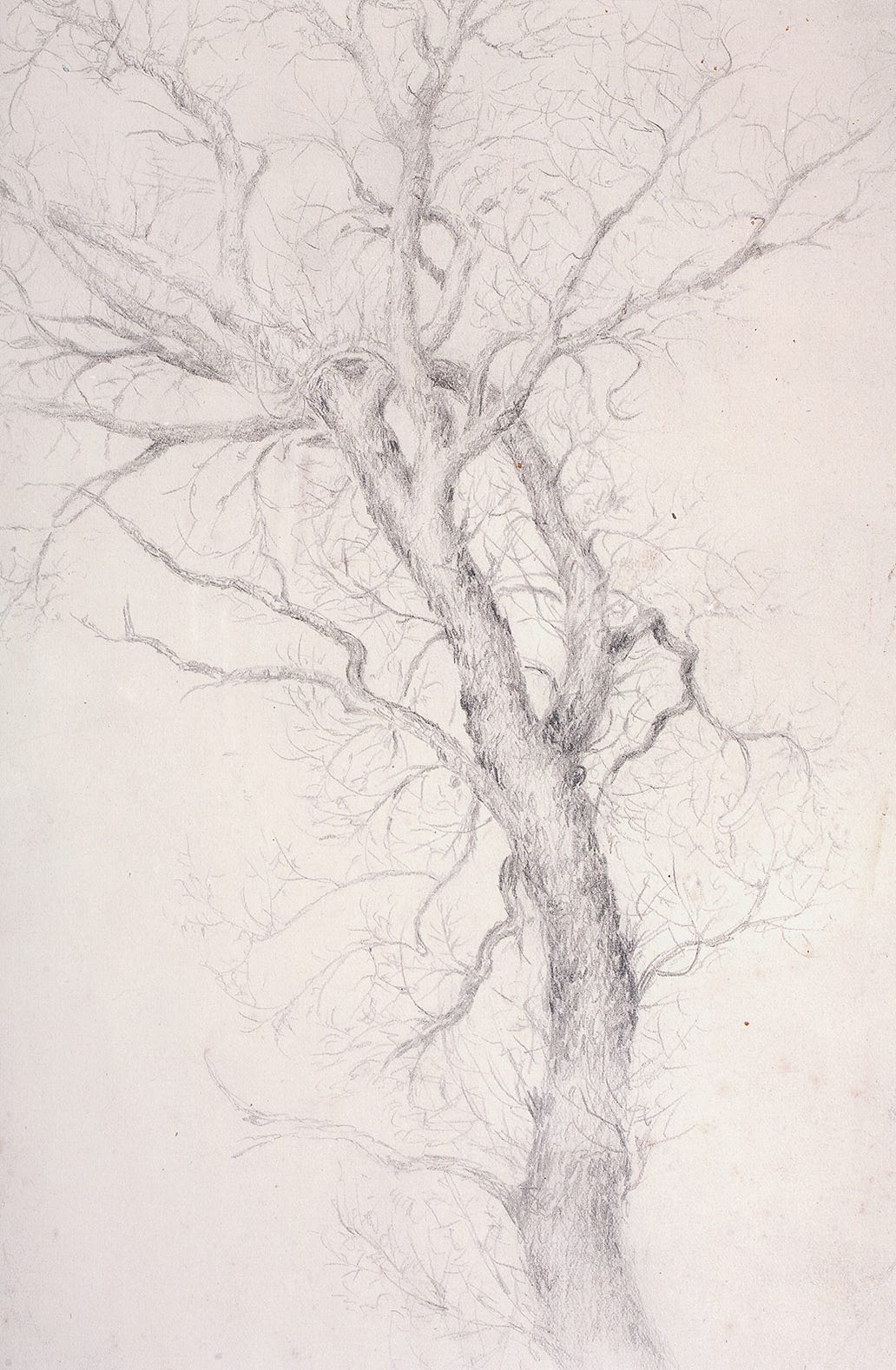 The Queen of Flowers – a life story of Kateryna Bilokur, a genius Ukrainian artist