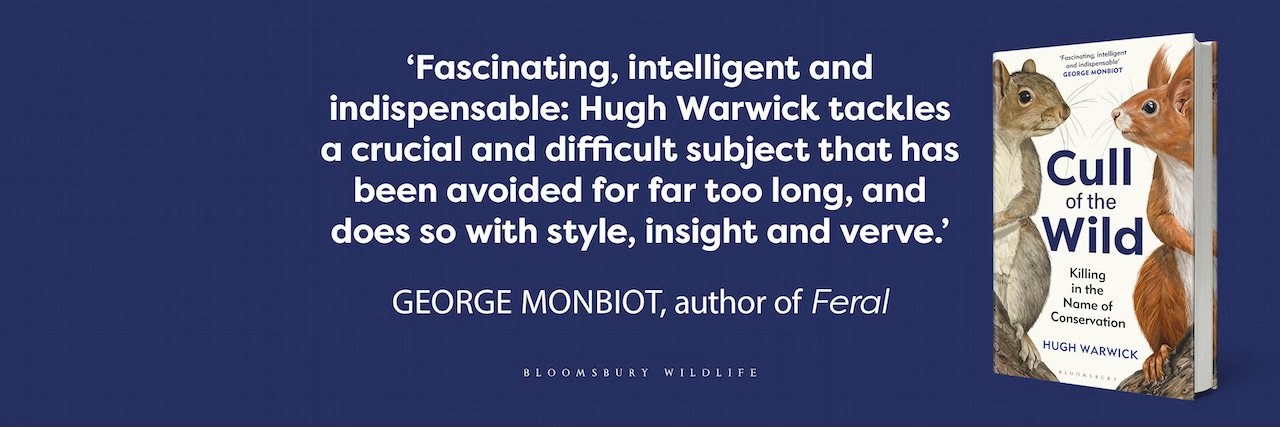 Killing Hedgehogs ... - by Hugh Warwick - Hugh’s Substack