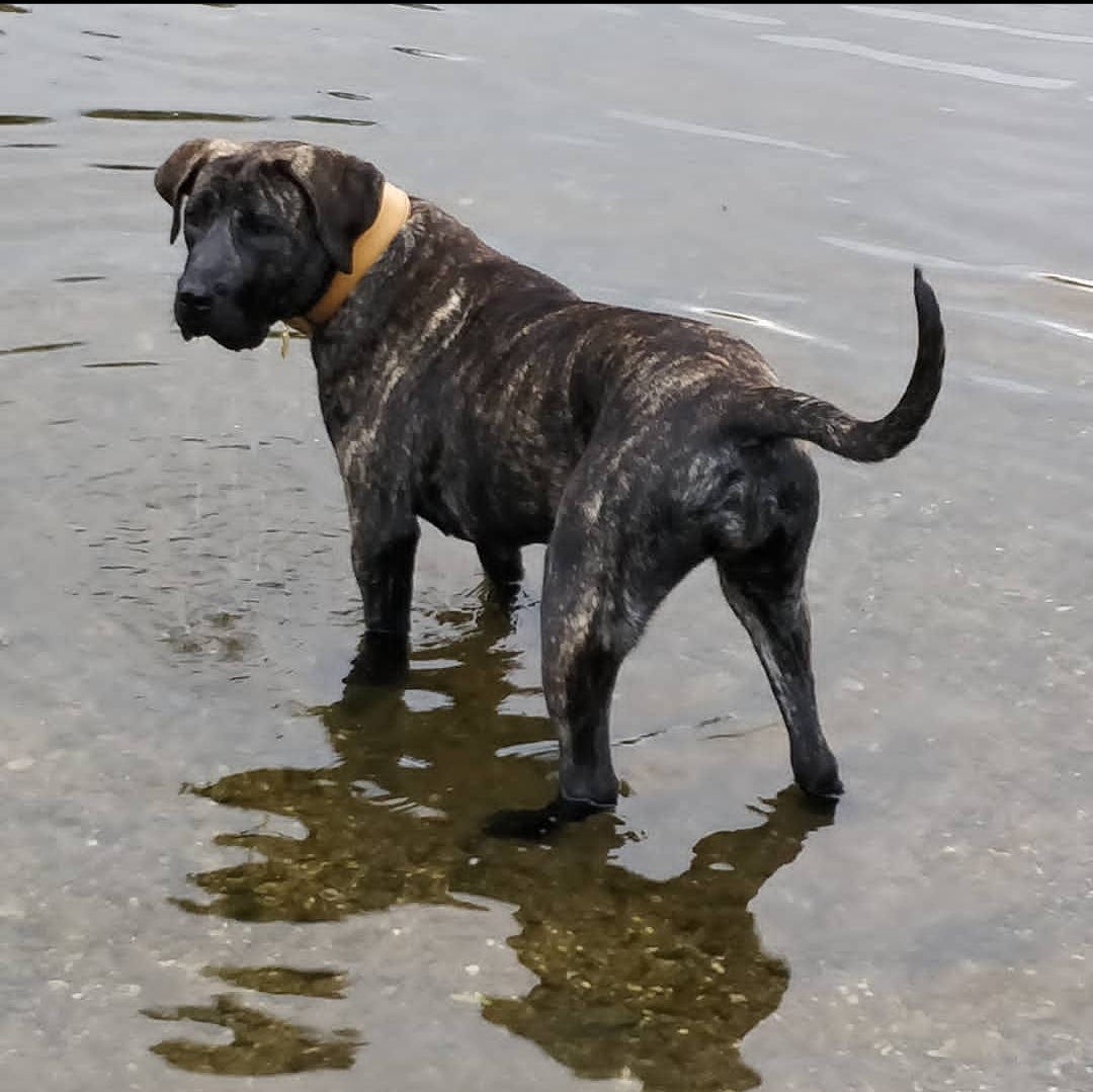 7 Lessons in Frame Control - by Will Knowland