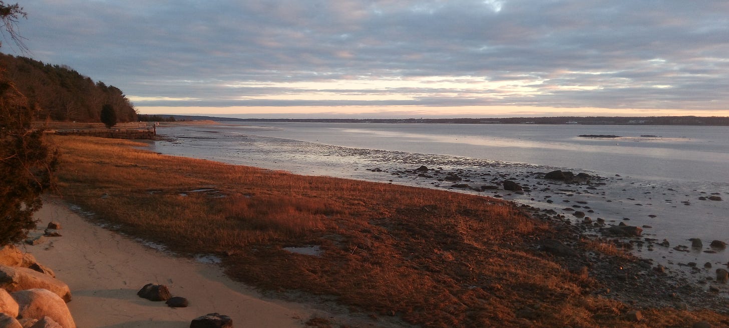 Plymouth To Vote On Nip Ban Repeal - by Ben Cronin