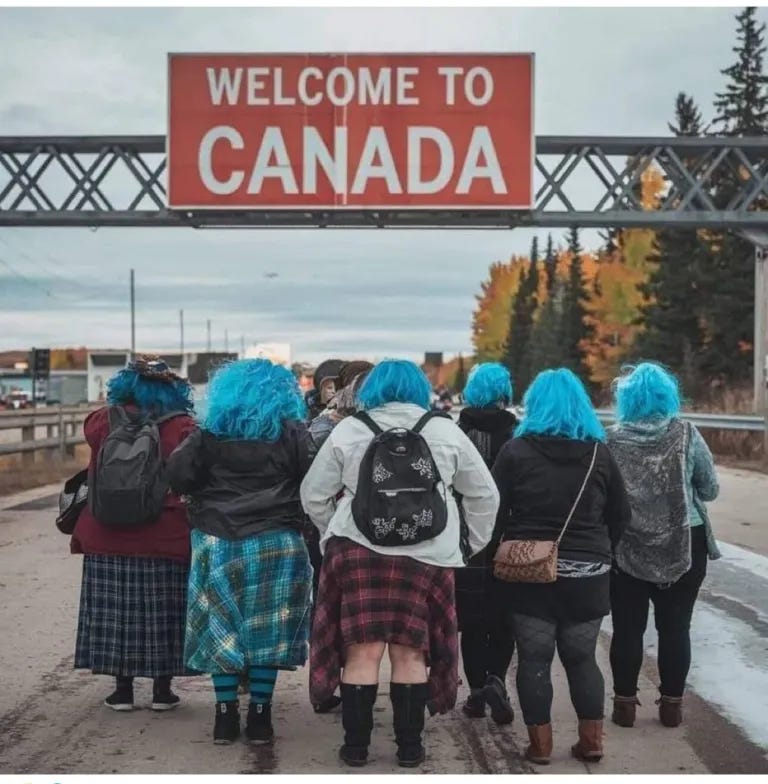 Ann Barnhardt Memes - Edwin’s Newsletter #1