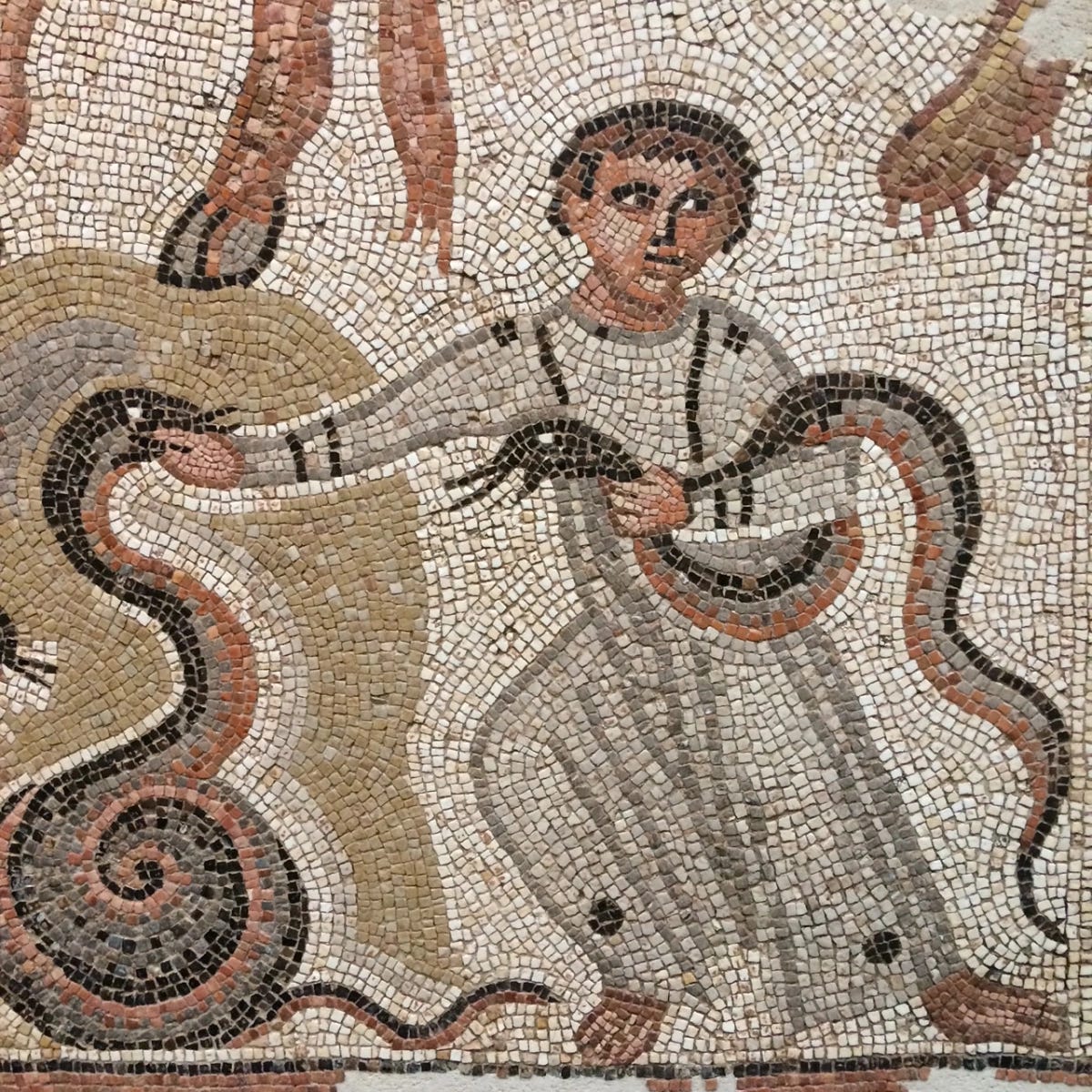 Is Eating Meat Moral? - Classical Wisdom