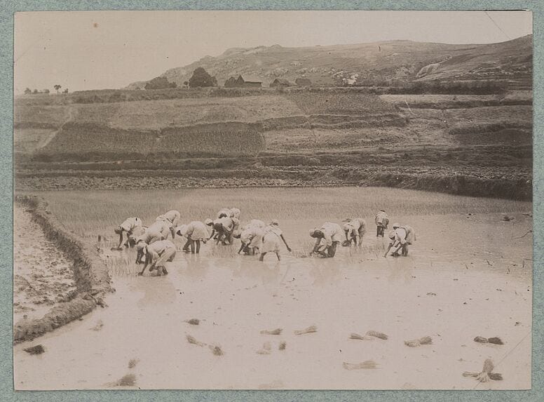 A complete history of Madagascar and the island kingdom of Merina.