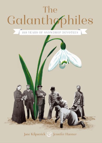Shakespeare's Snowdrops: Galanthus Bred by Heyrick Greatorex