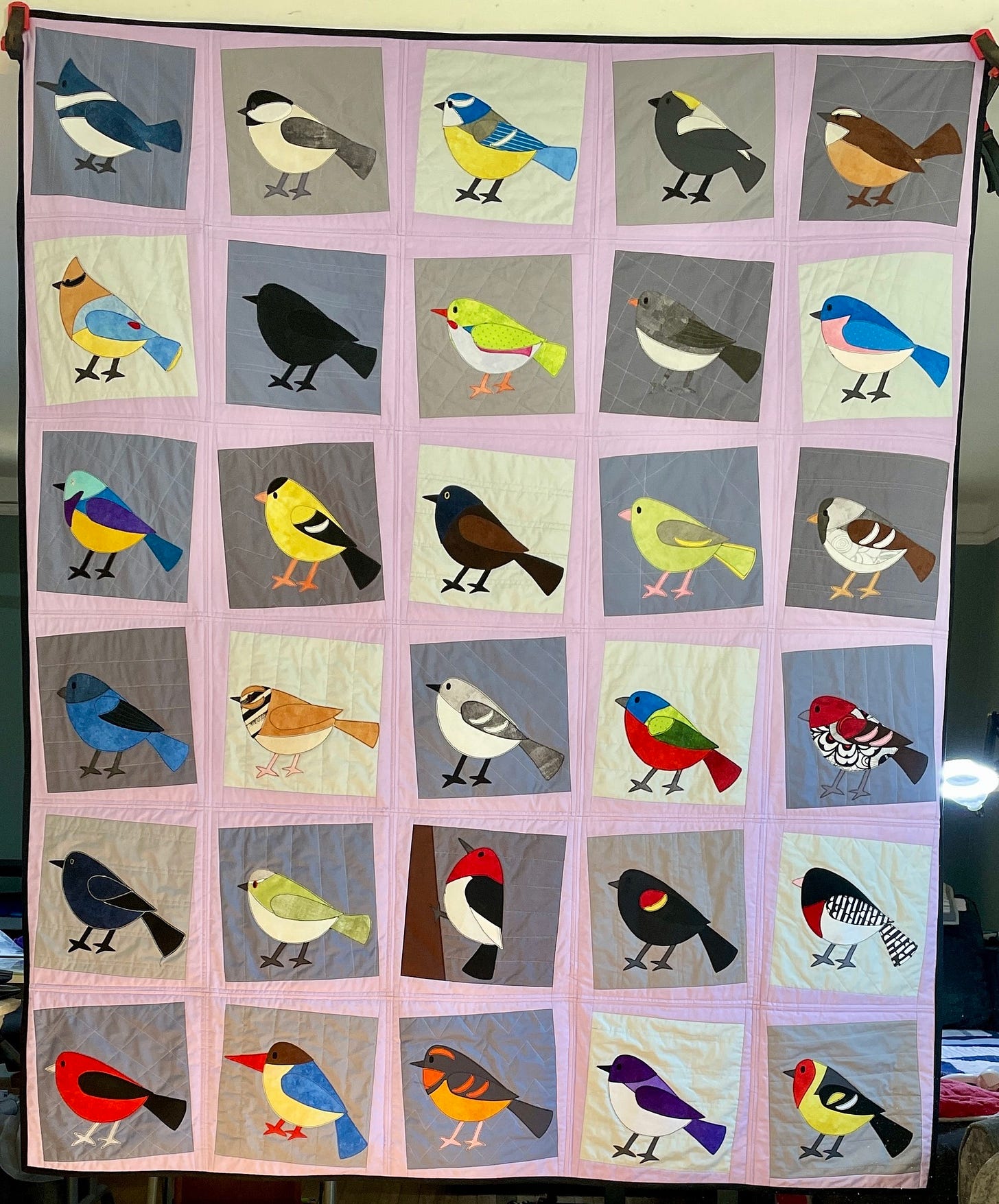 Celebrate EVERYTHING! - The Sunny Pages