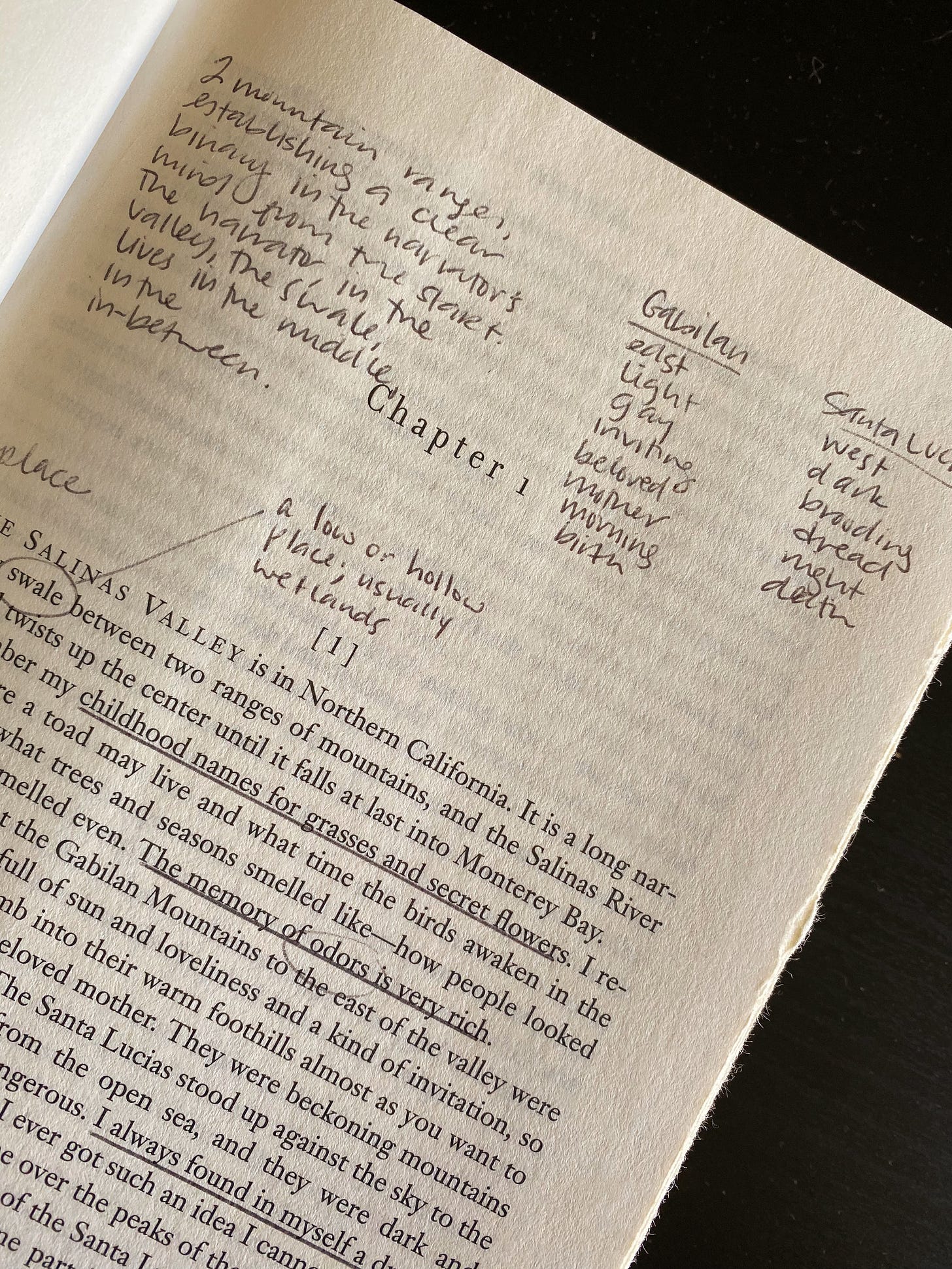 defining your annotation style - by haley larsen, phd